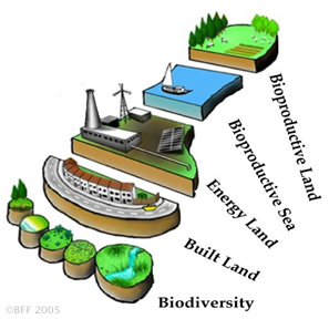 Draagkracht: Ecologische voetafdruk